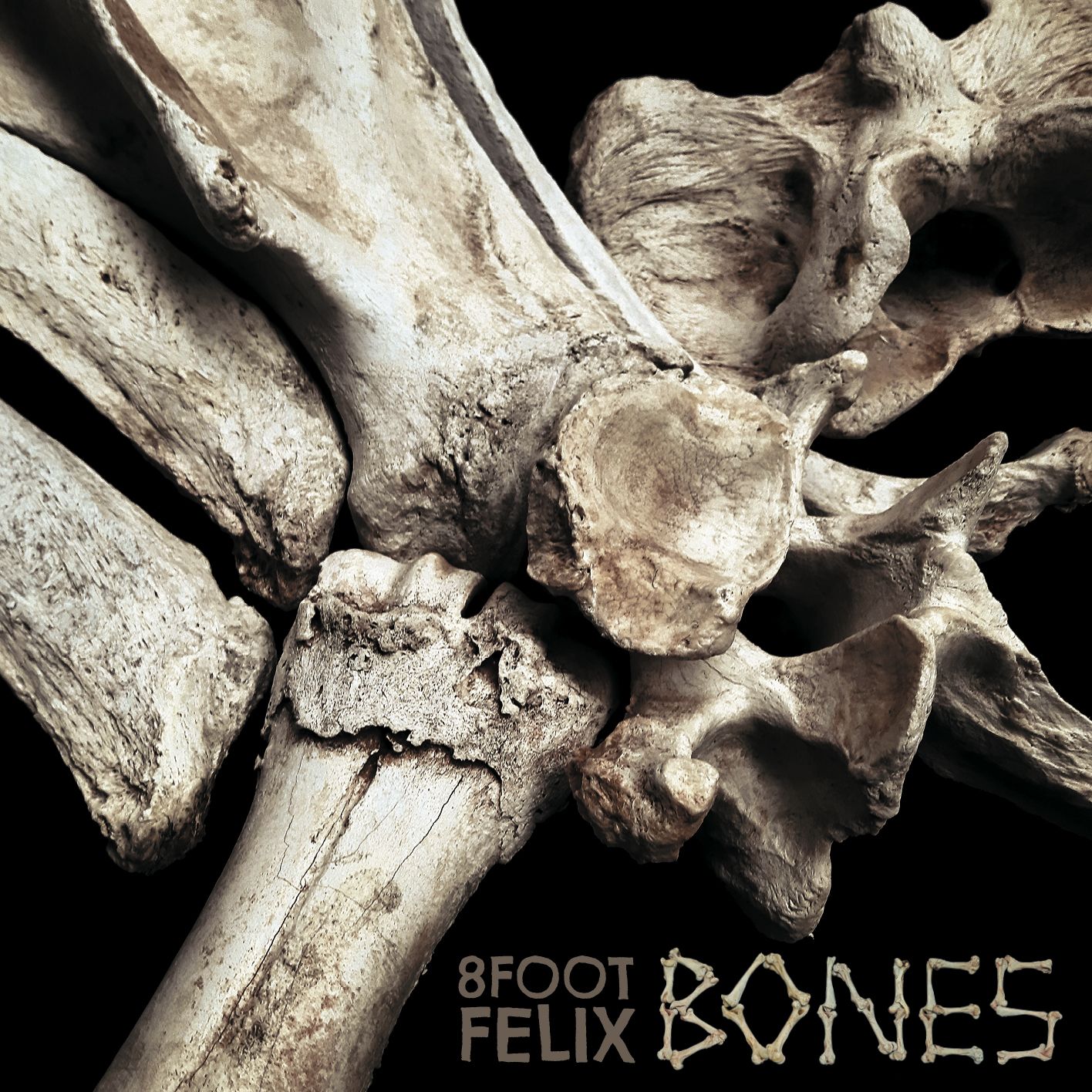 New Music - 8Foot Felix 'Bones' | Yack Magazine!